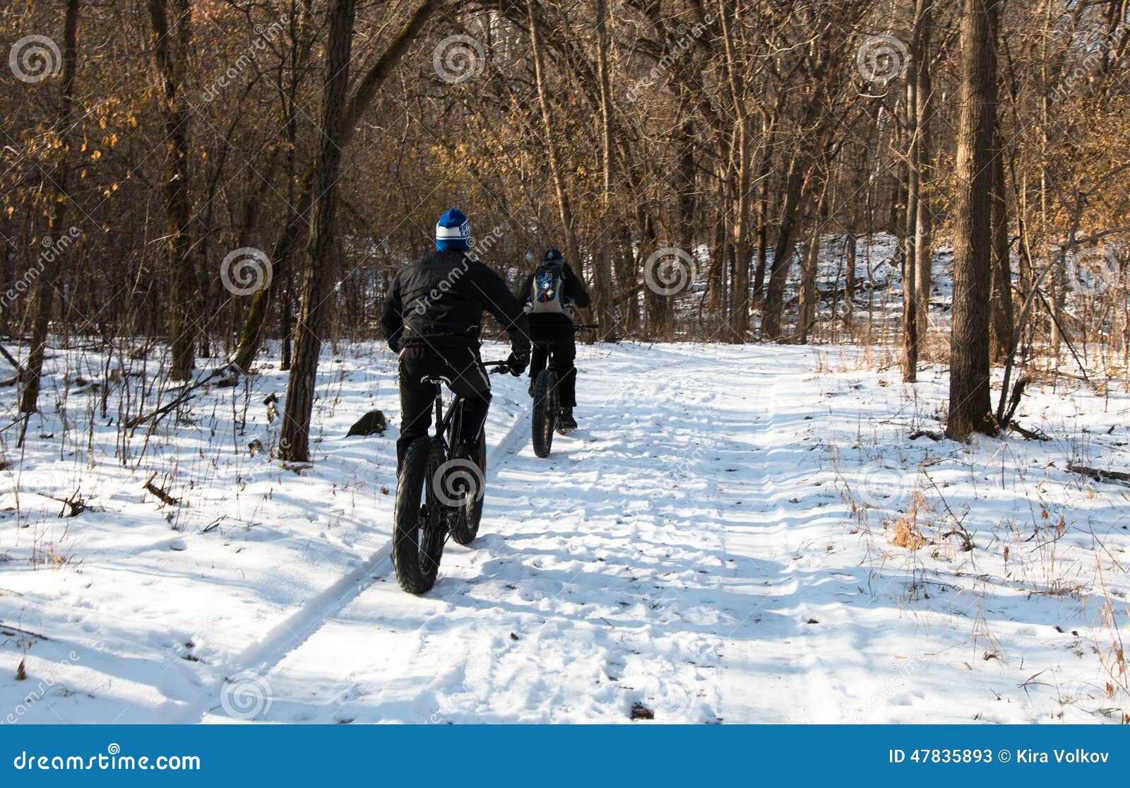 Two Men on Fat-bikes Ride in Winter Forest Editorial Stock Photo ...