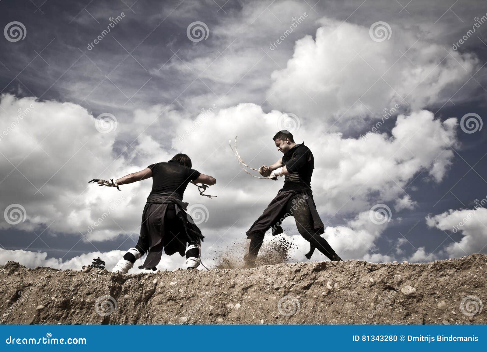 Two men are fighting stock photo. Image of blue, conflict - 81343280