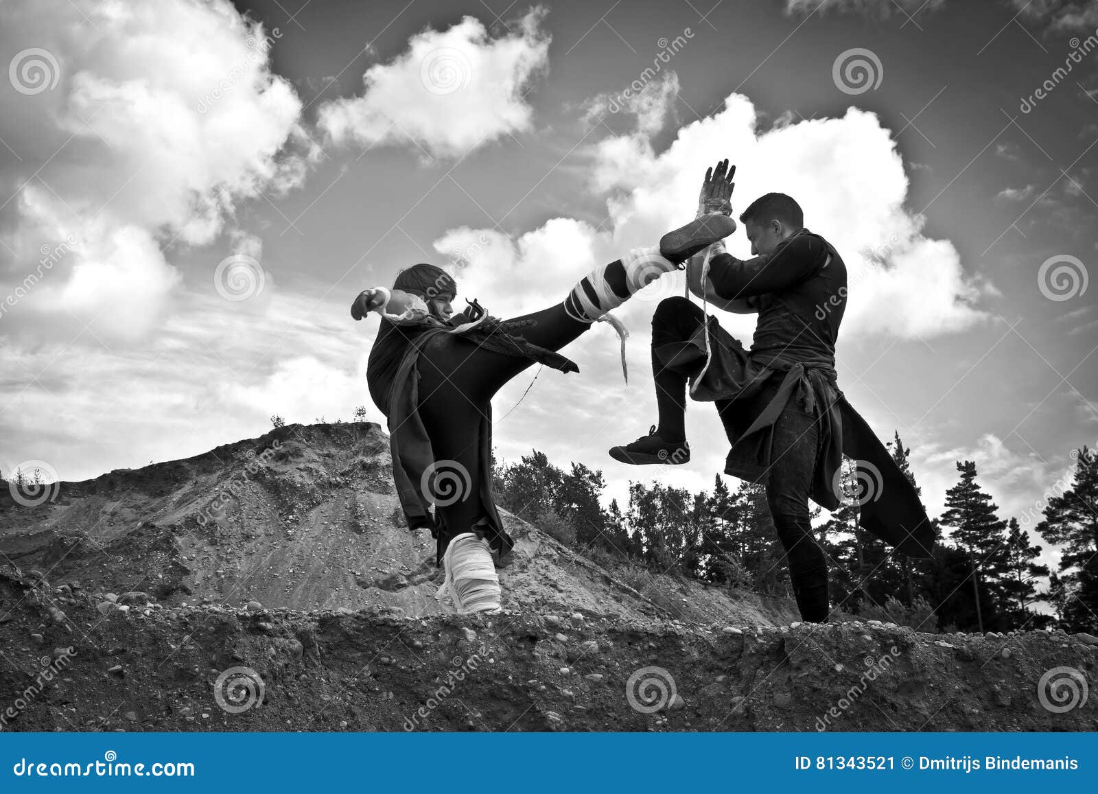 Two men are fighting stock image. Image of blue, exercising - 81343521