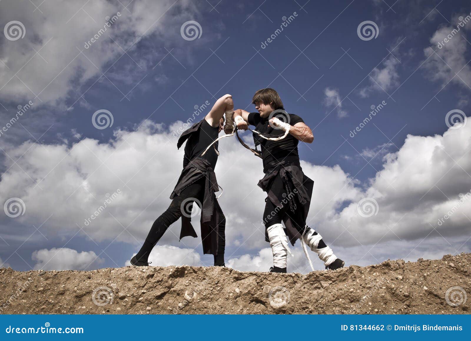 Two men are fighting stock photo. Image of fighting, duel - 81344662