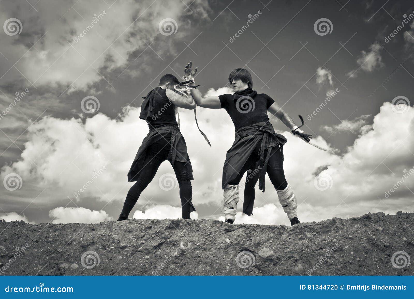 Two men are fighting stock photo. Image of duel, brawny - 81344720