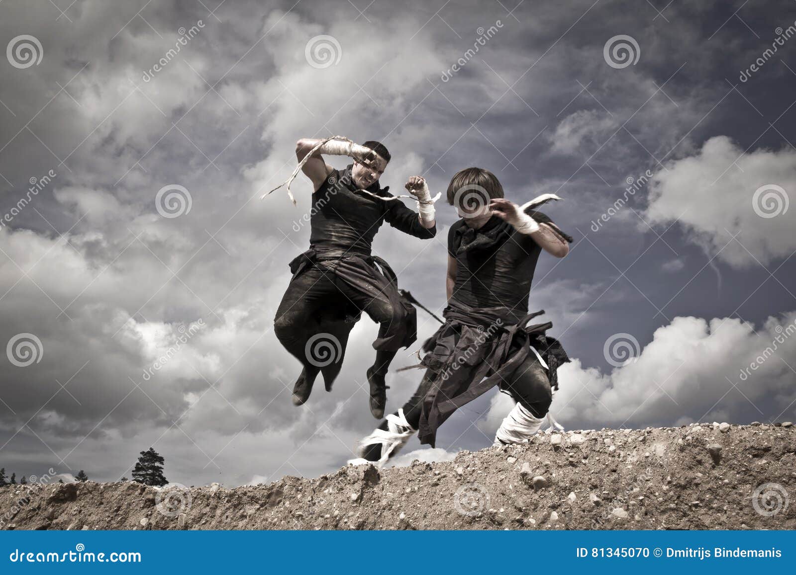 Two men are fighting stock photo. Image of action, beach - 81345070