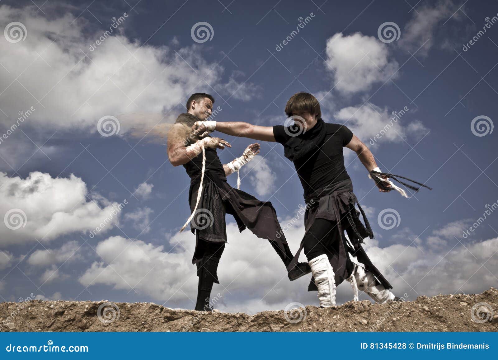 Two men are fighting stock photo. Image of fighting, human - 81345428