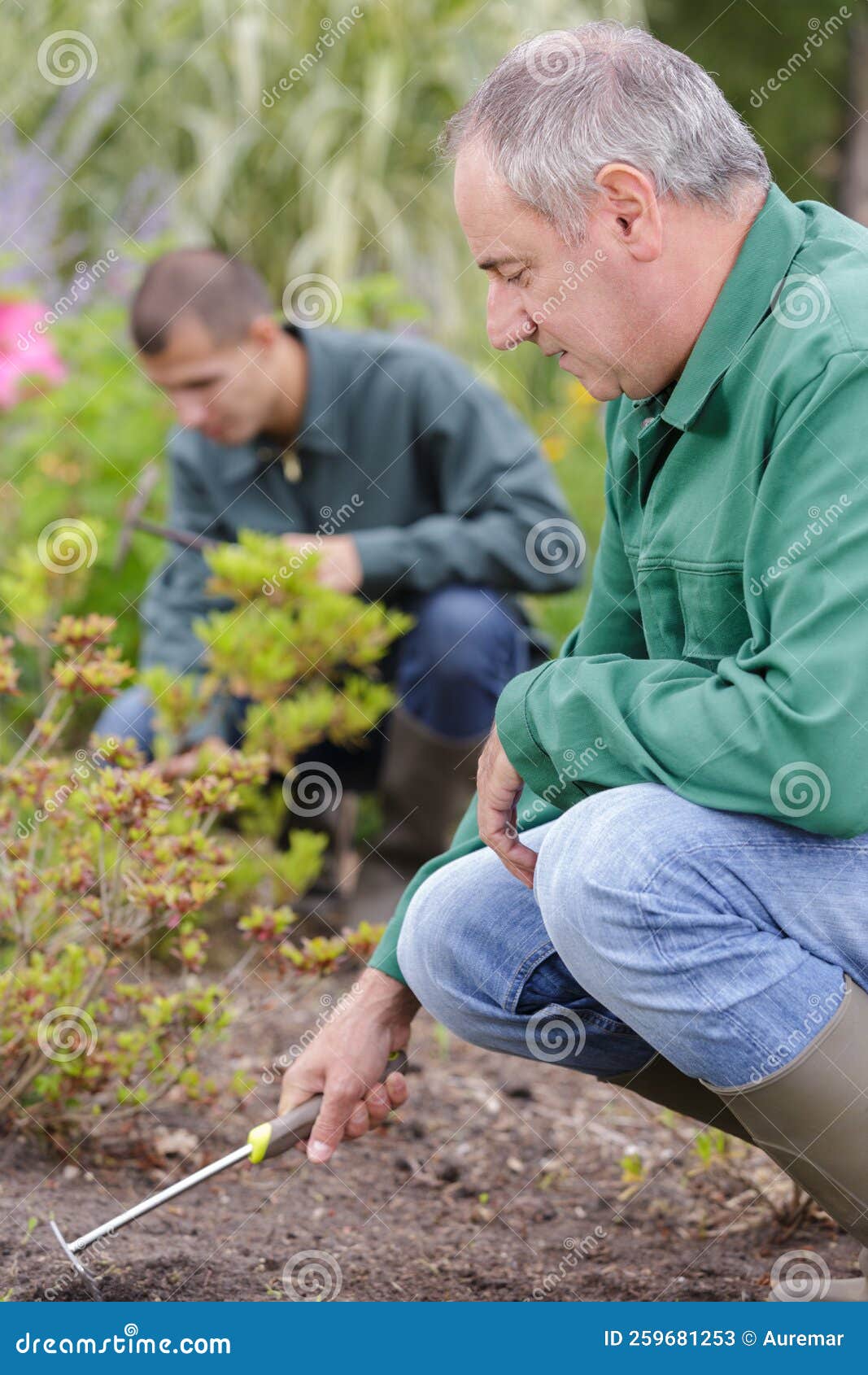 Two Men Gardener Landscaping Together Stock Image - Image of ruralscene ...