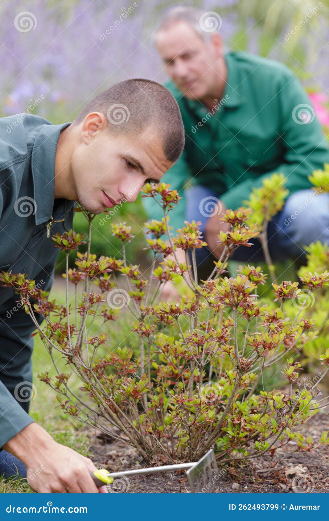Two Men Gardeners Working Together Stock Image - Image of working, glad ...
