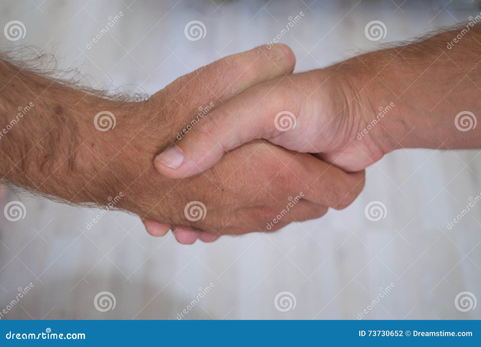Two men handshake stock photo. Image of cooperation, human - 73730652