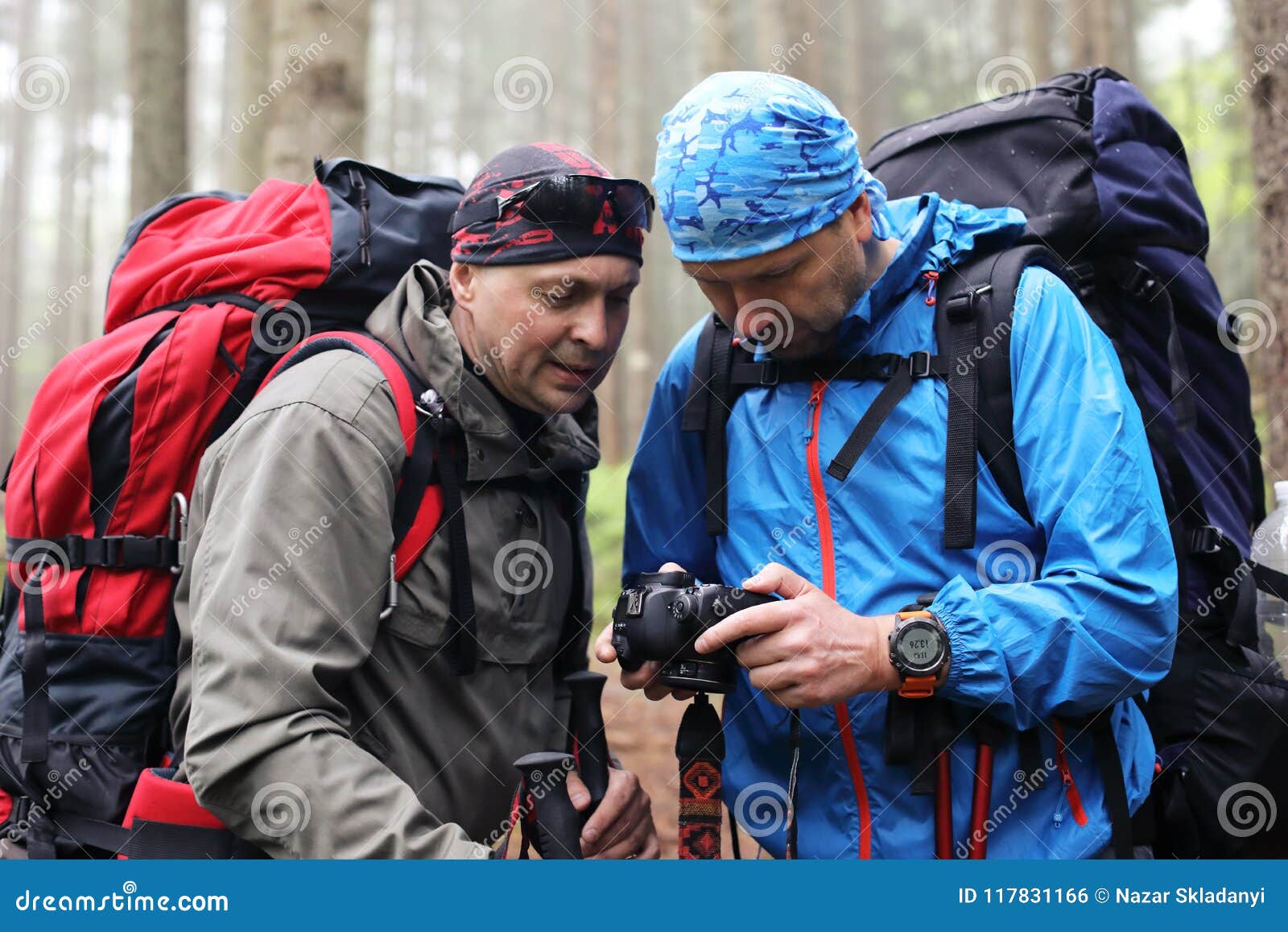 Two Men Hike in Forest with Backpack for Trekking Stock Photo - Image ...