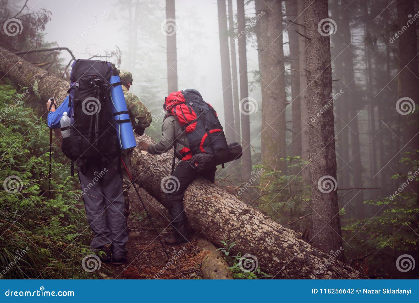 Two Men Hike in Forest with Backpack for Trekking Stock Photo - Image ...