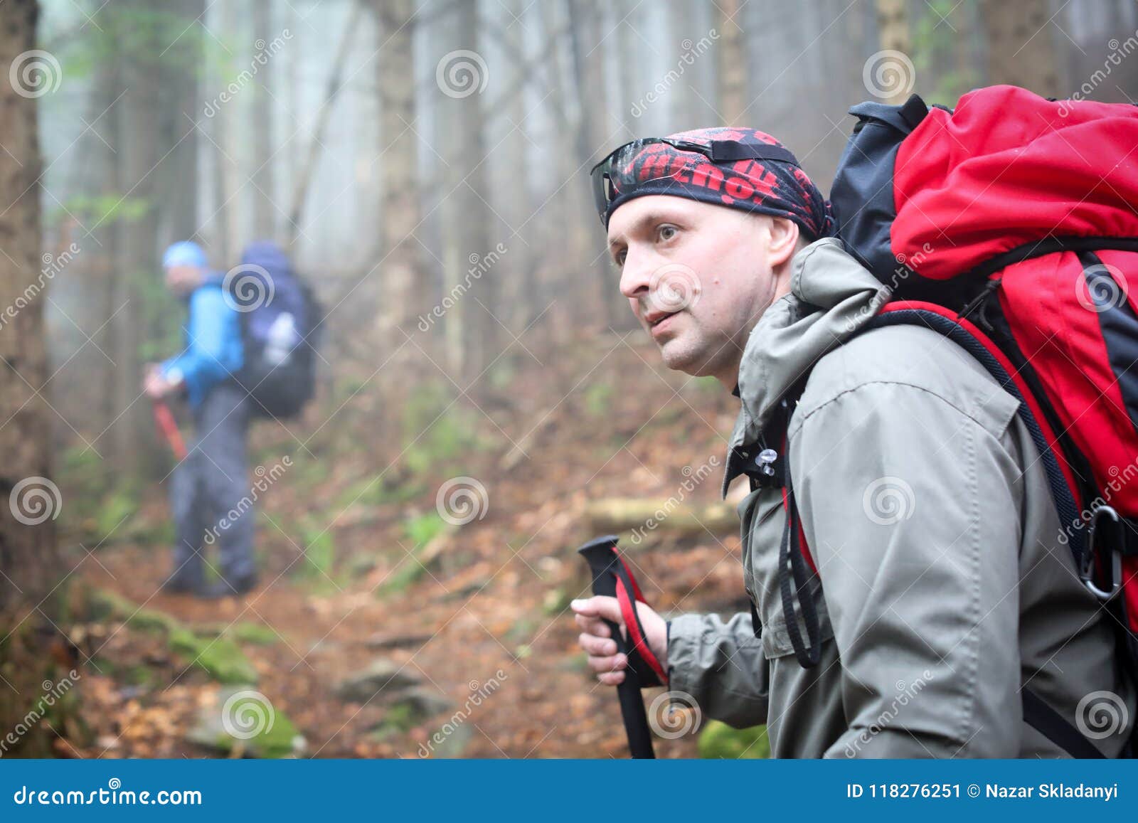 Two Men Hike in Forest with Backpack for Trekking Stock Image - Image ...