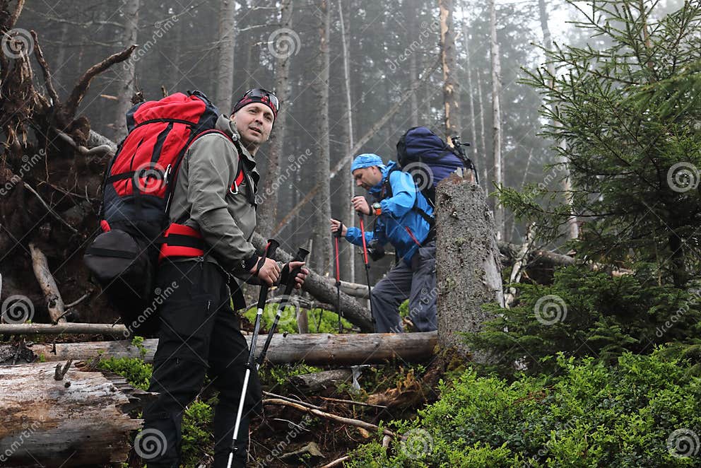 Two Men Hike in Forest with Backpack for Trekking Stock Image - Image ...