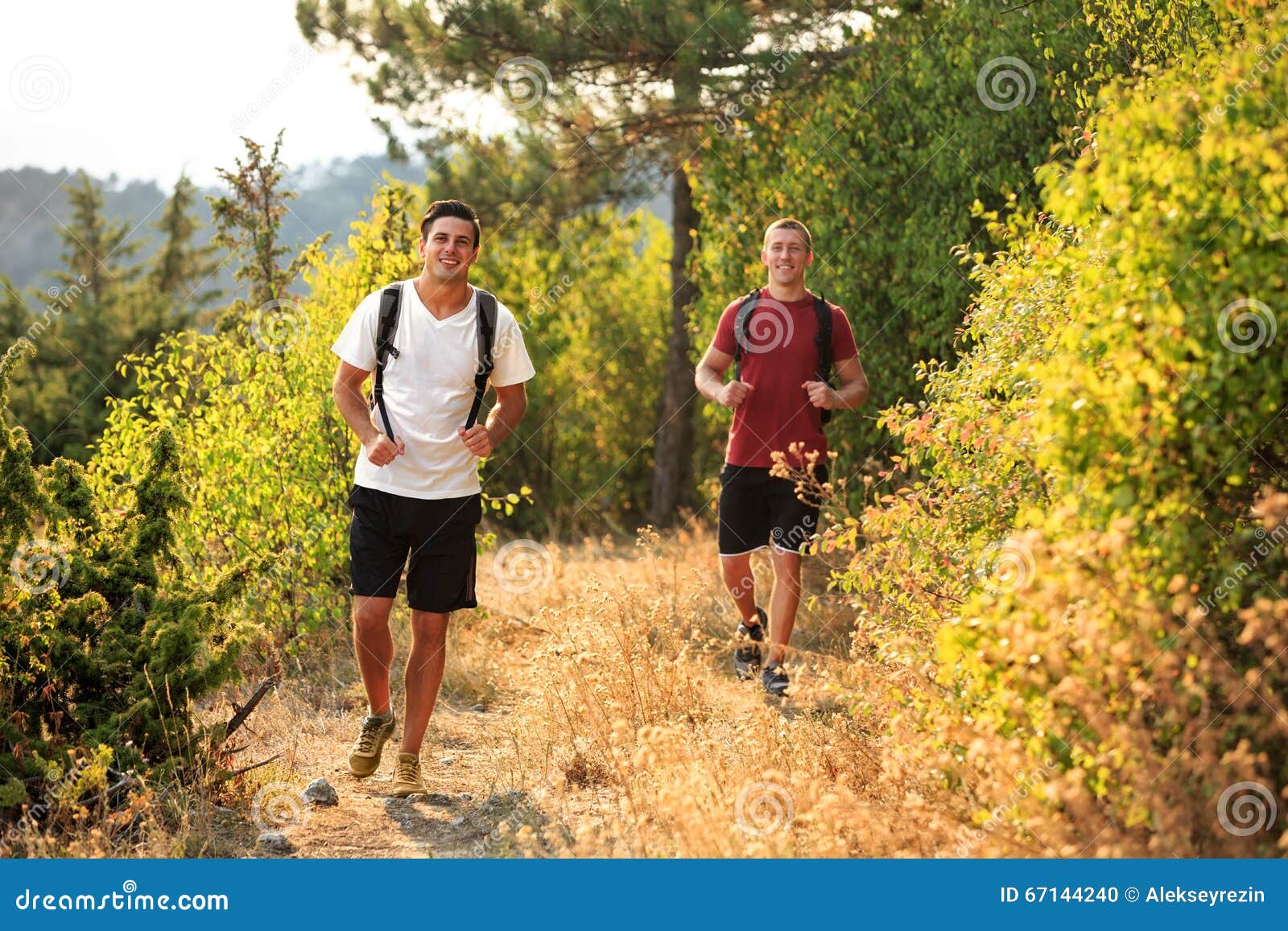 Two Men are Hiking in Forest Stock Photo - Image of backpacker, guide ...
