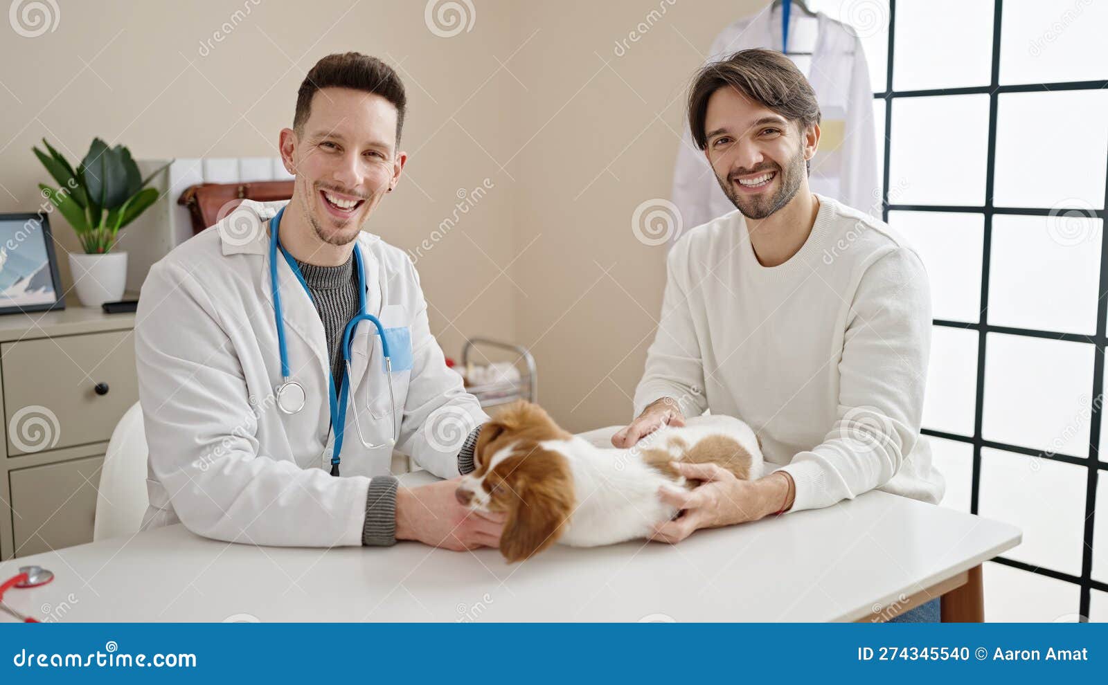 Two Men Petting Dog at Veterinary Clinic Stock Photo - Image of adult ...