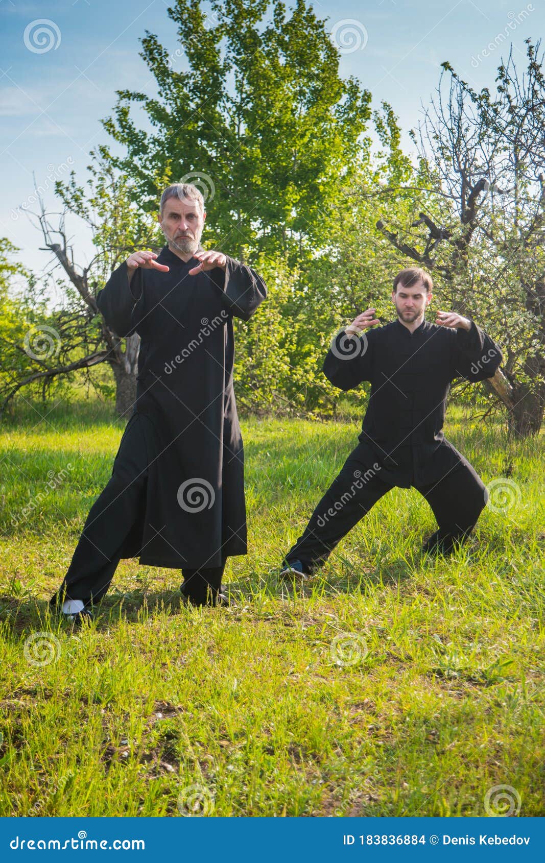 Two Men Practice Tai Chi in a Garden Stock Photo - Image of chinese ...