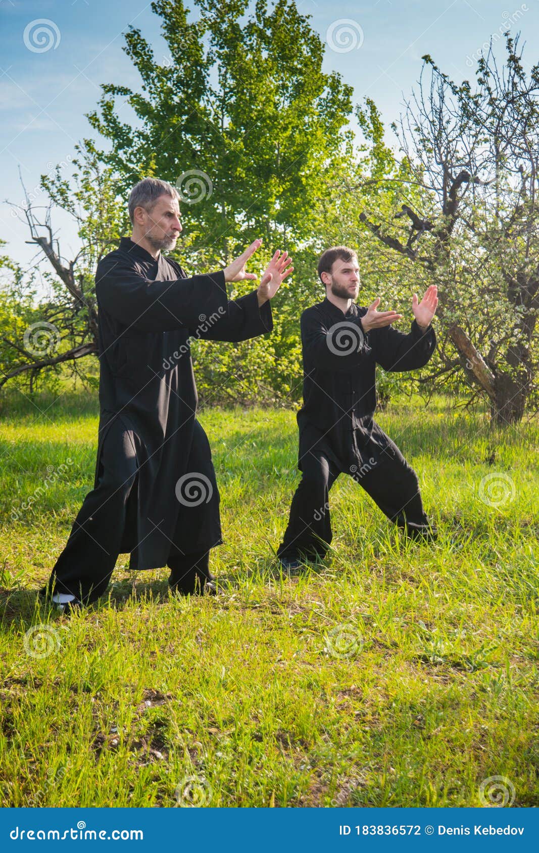 Two Men Practice Tai Chi in a Park Stock Photo - Image of posture ...
