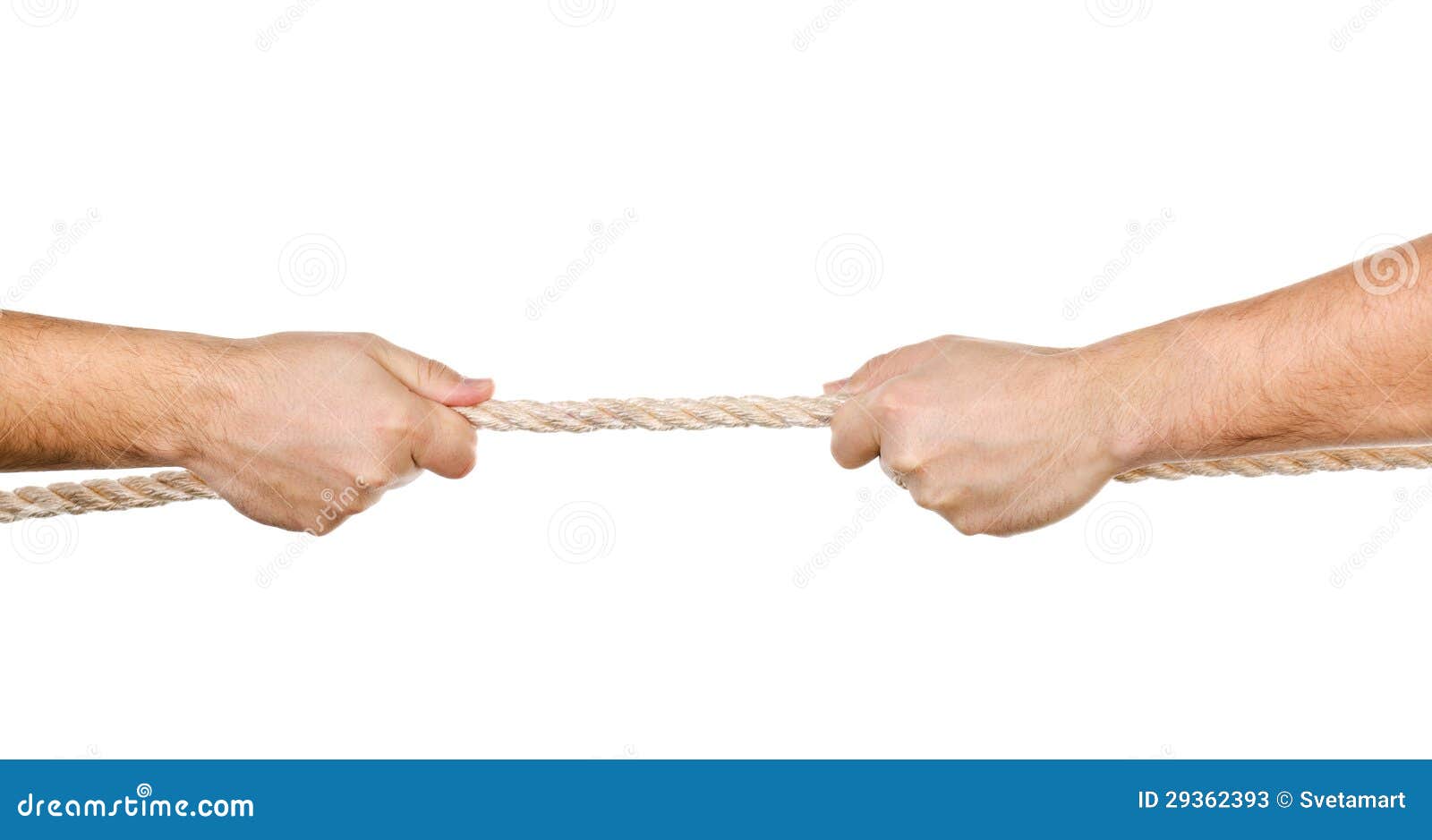 Two Men Pulling a Rope in Opposite Directions Isolated Stock Image ...