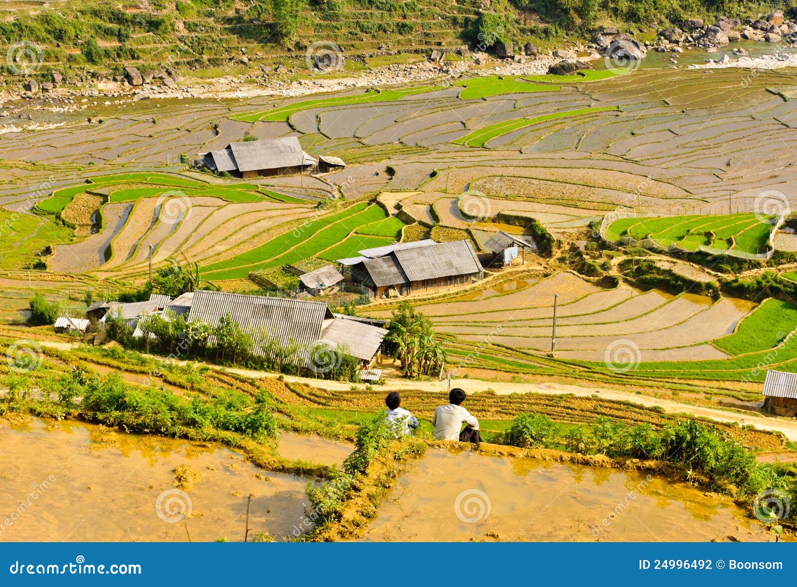 Two Men at Rice Terraced Fields Stock Photo - Image of grass ...