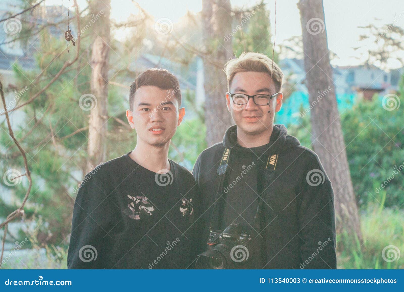 Two Men Standing Near Tree Trunks Picture. Image: 113540003