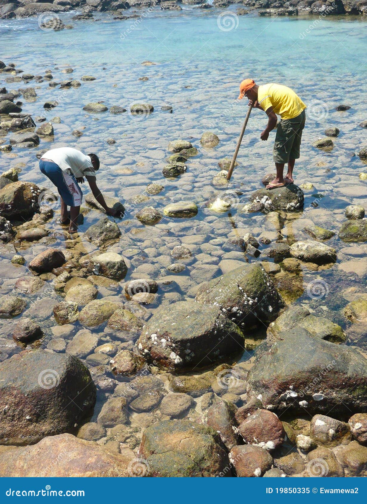 Two Men with Sticks Working Seaside Editorial Image - Image of paddle ...