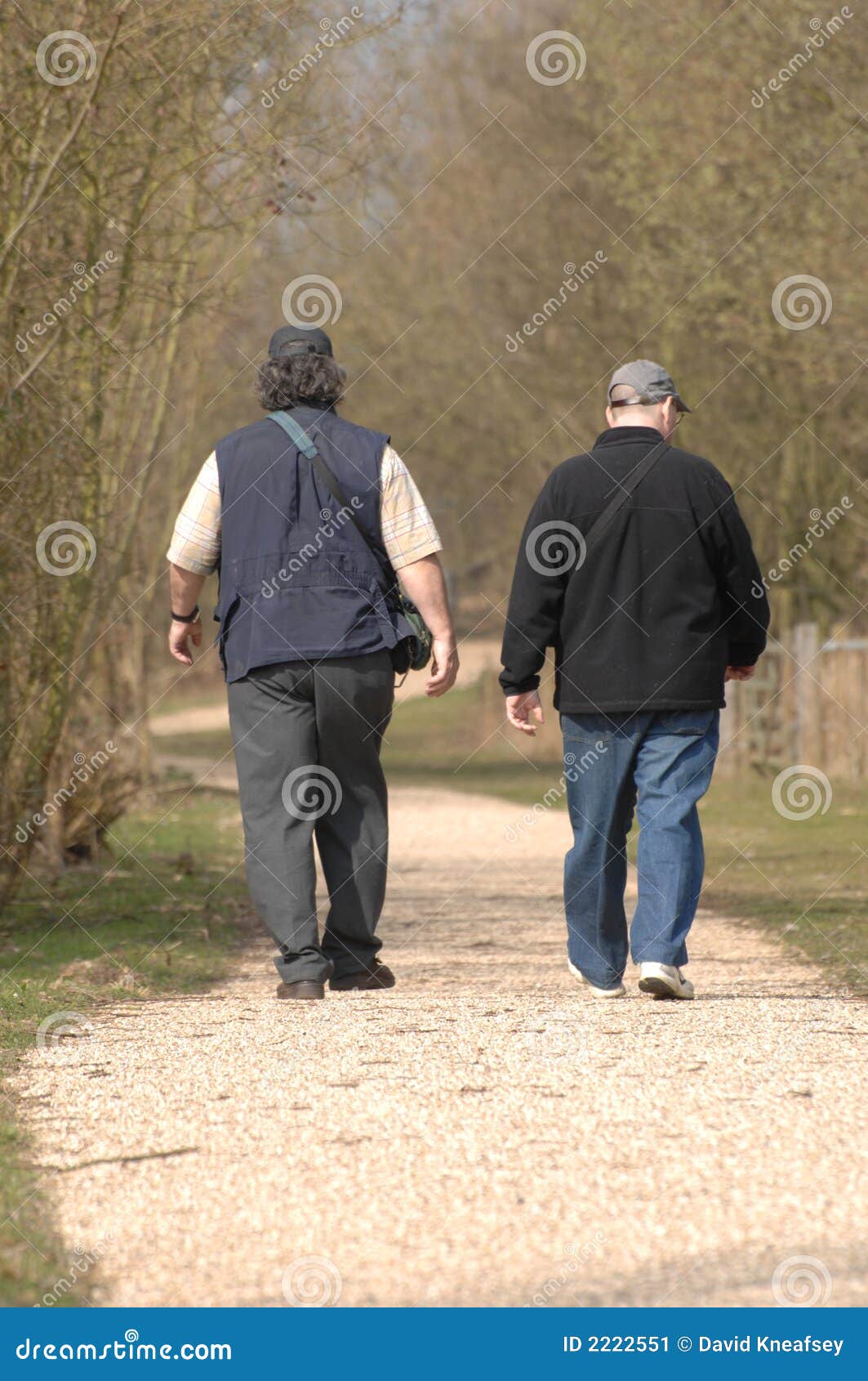Two men walking stock image. Image of couples, people - 2222551