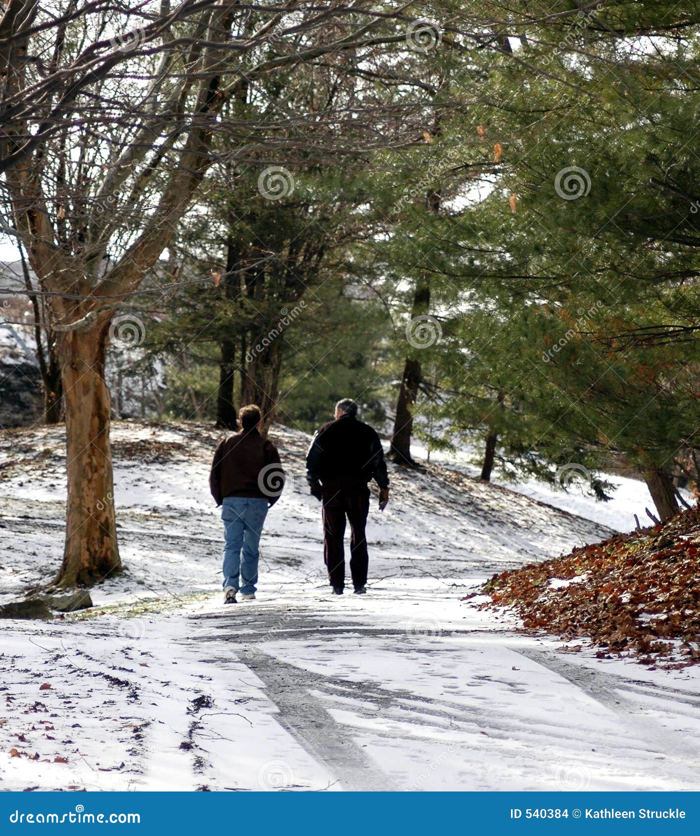 Two Men Walking stock photo. Image of fresh, quiet, path - 540384
