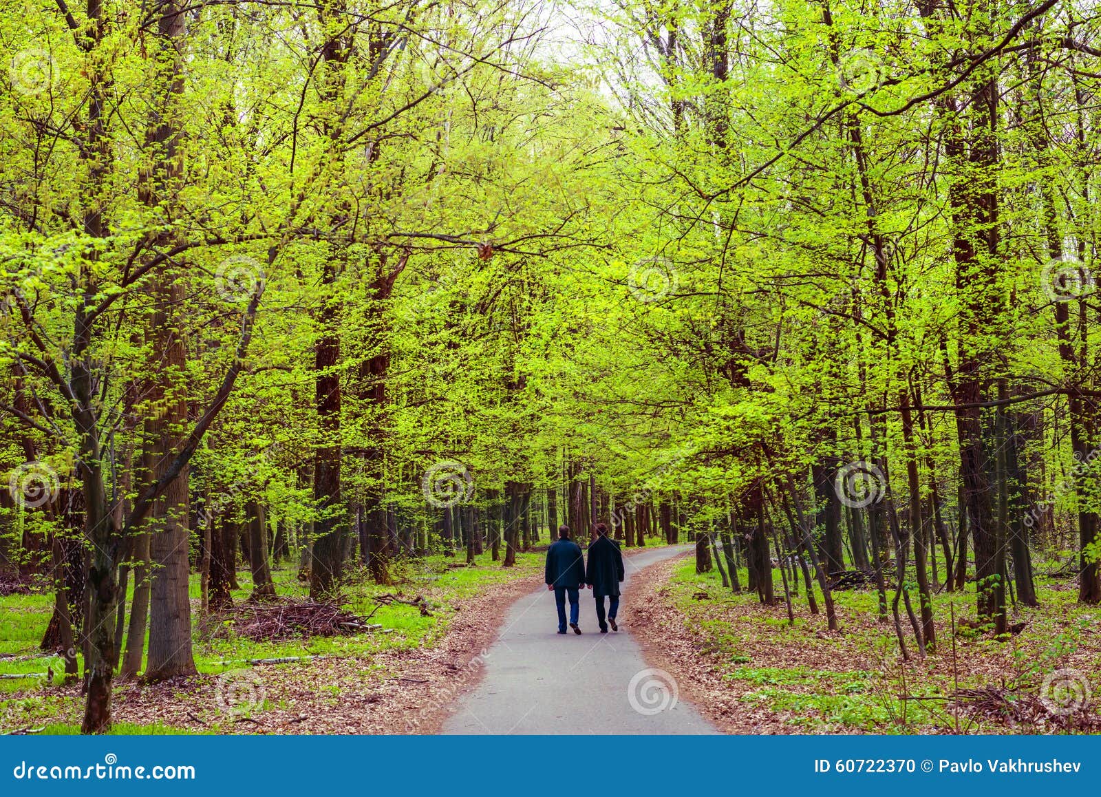 Two men walking in park stock photo. Image of season - 60722370