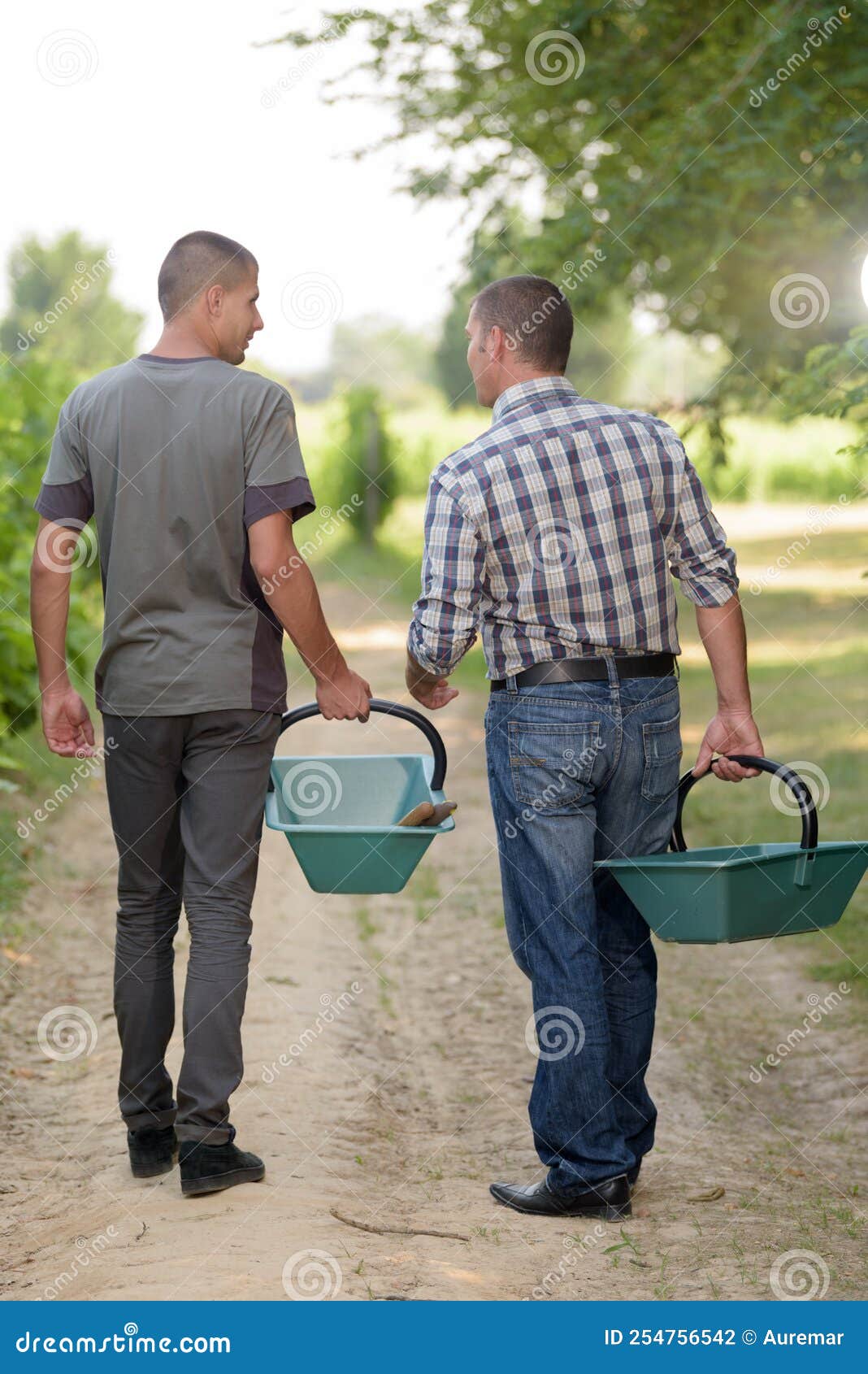 Two Men Walking in Vineyards Stock Photo - Image of sunbeam, crop ...