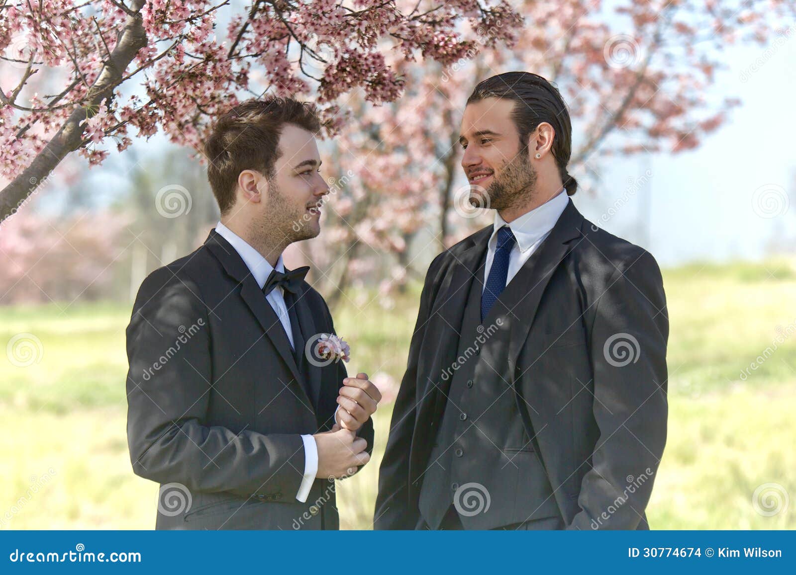 Two Men at Wedding stock photo. Image of sunny, bridal - 30774674
