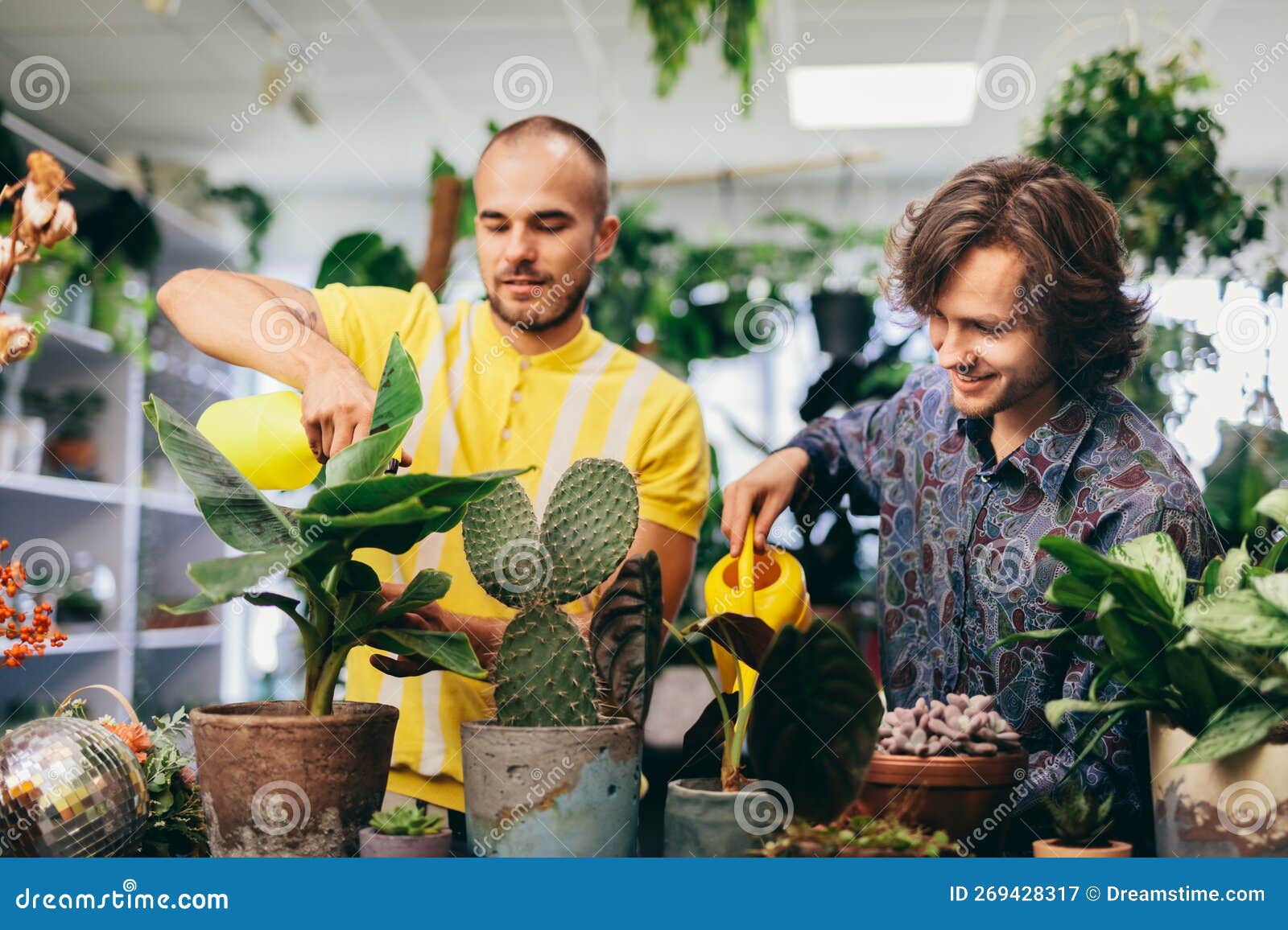 Two Men Work in Florist Shop. Stock Image - Image of shop, learn: 269428317