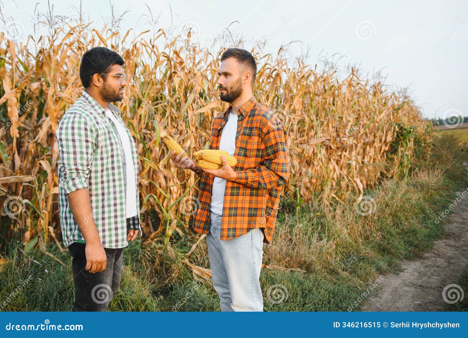 Two Men Working in the Field Together Stock Image - Image of farming ...