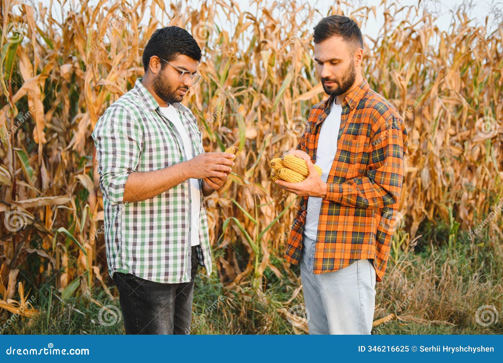 Two Men Working in the Field Together Stock Image - Image of people ...