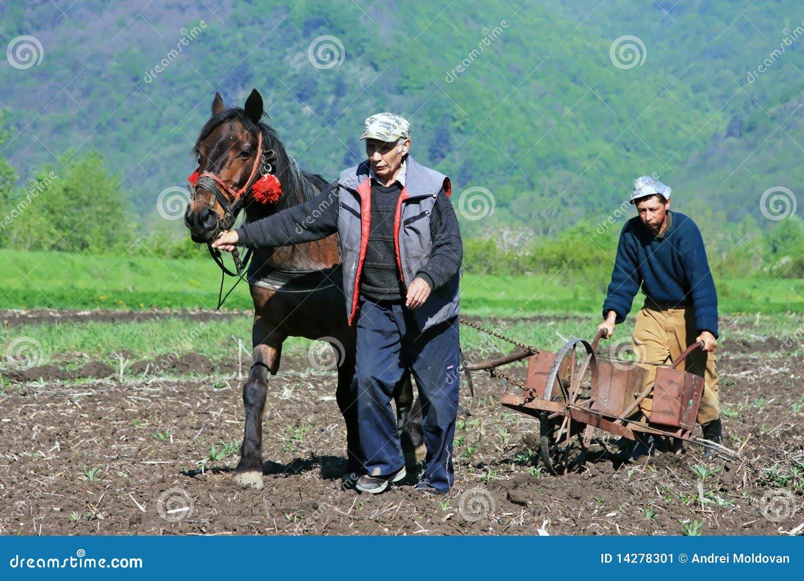 Two men working the land stock image. Image of countryside - 14278301