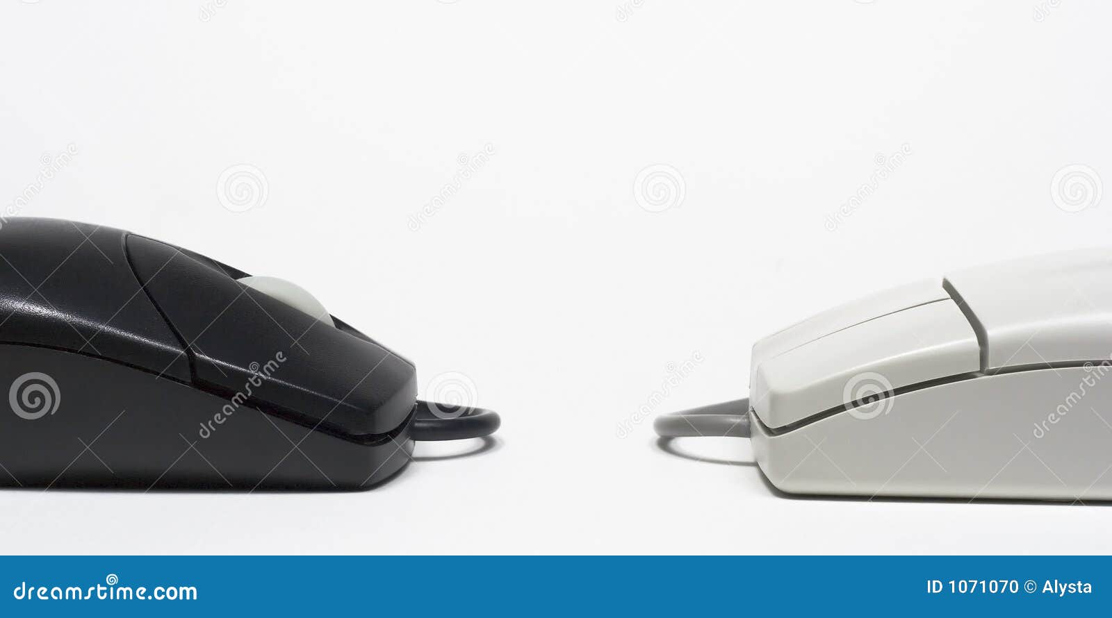 Two Mice stock photo. Image of pointing, device, team - 1071070