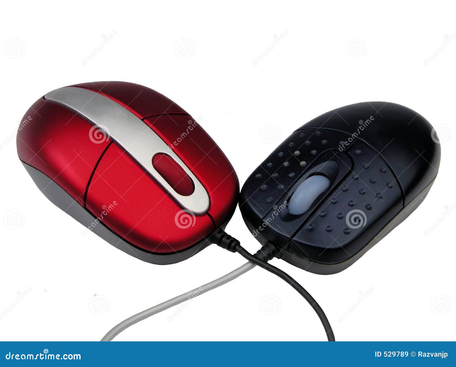 Two mice stock image. Image of white, product, objects - 529789
