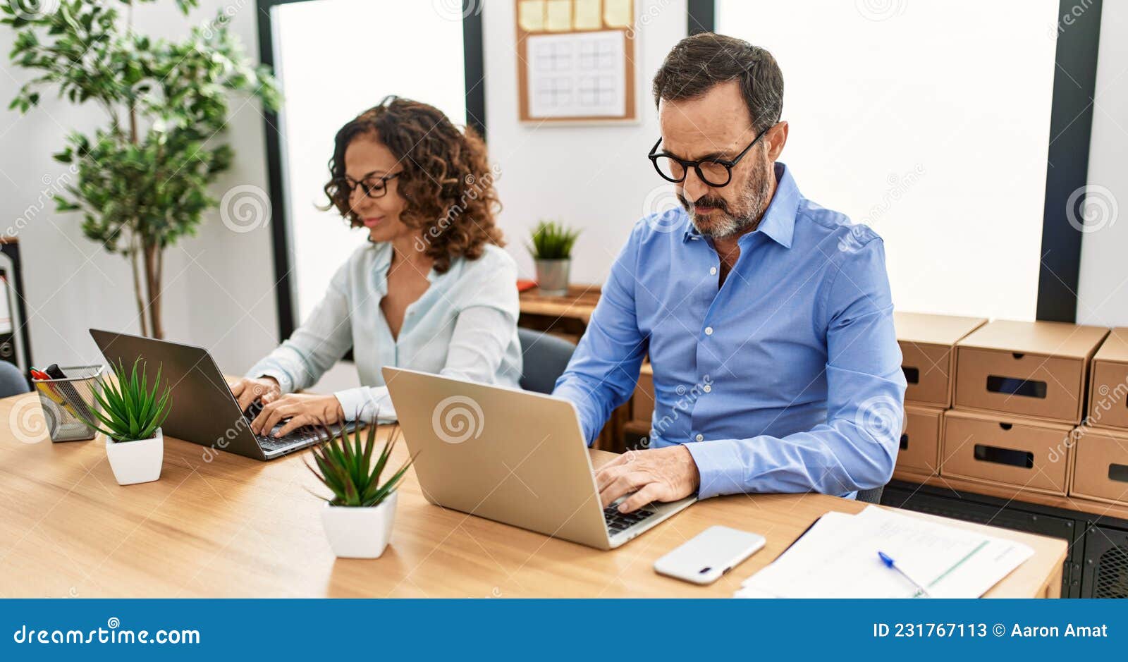 Two Middle Age Business Workers Concentrated Working at the Office ...