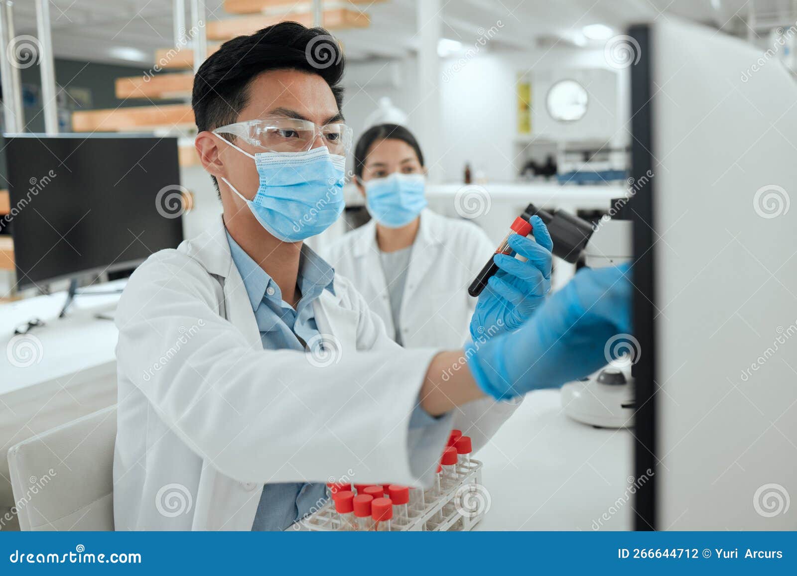 Two Minds are Better Than One. a Young Scientist Reviewing a Sample in ...