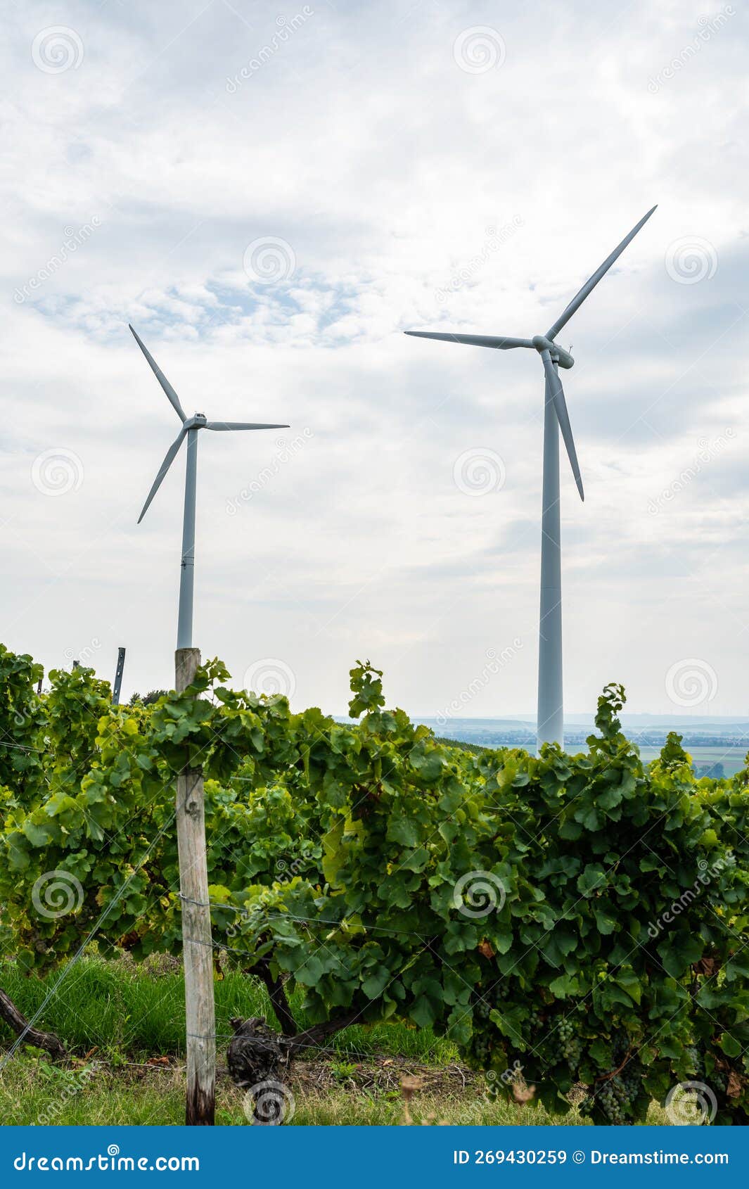 Two Modern Renewable Energy Wind Turbines with Propeller in Different ...