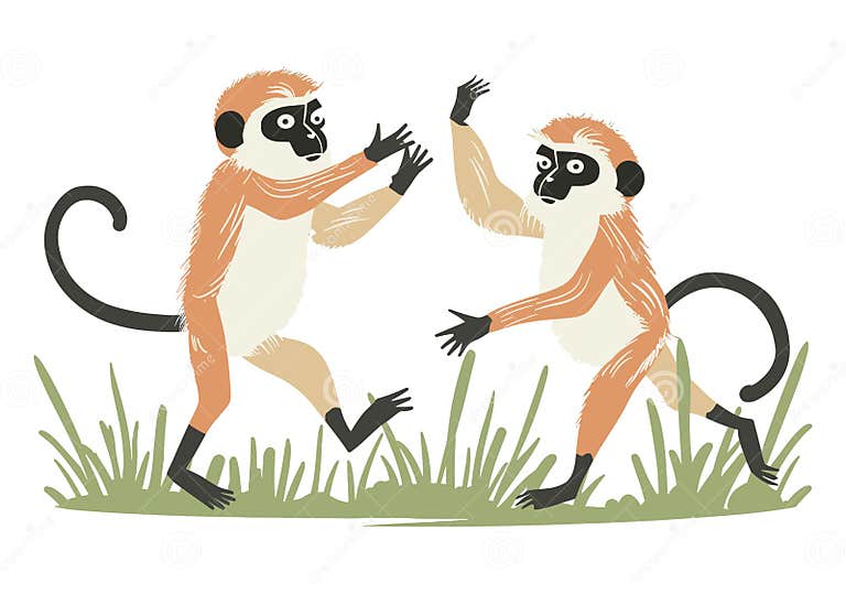 Two Monkeys Interacting in the Grass Stock Illustration - Illustration ...
