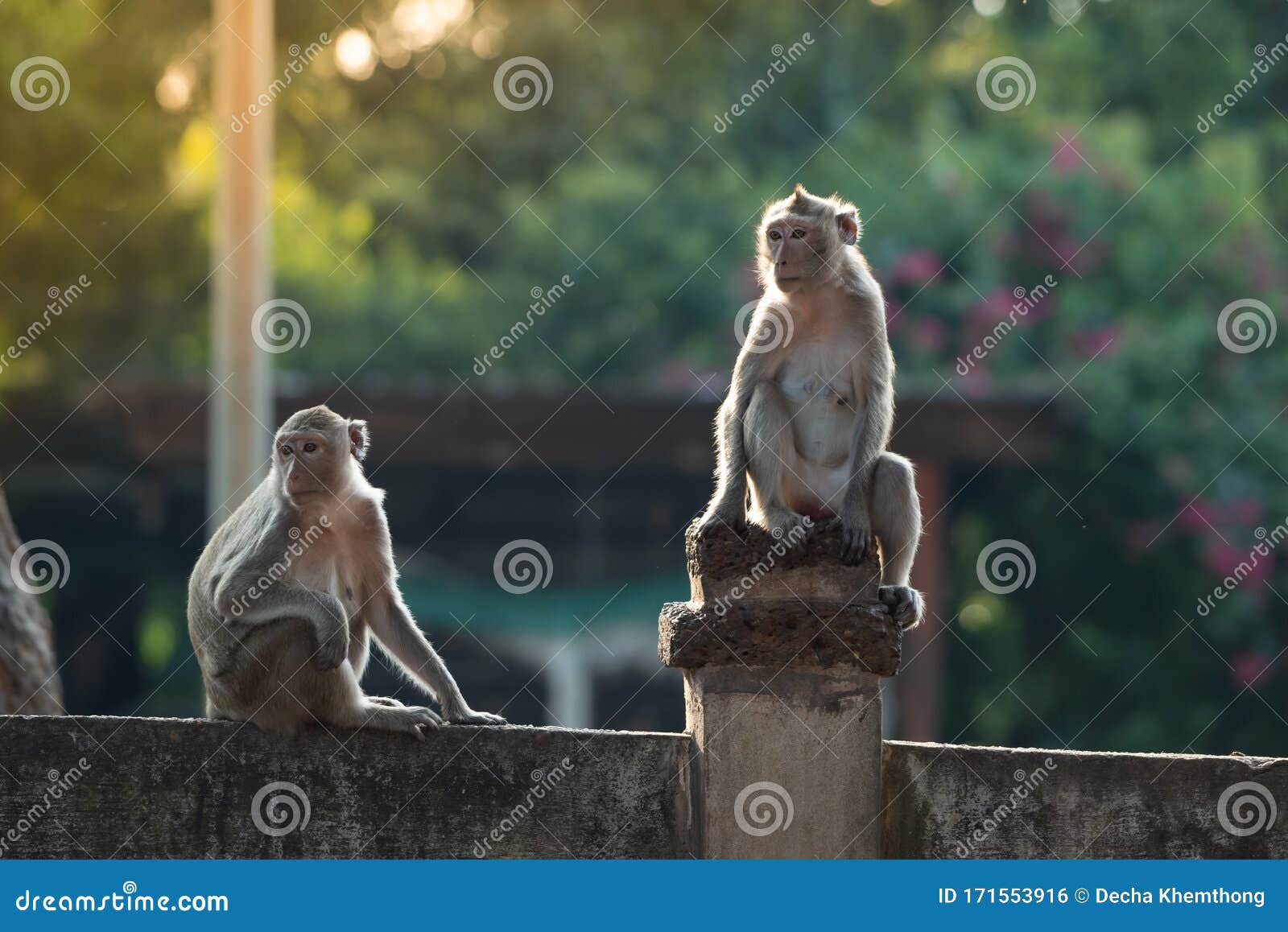 Do Not Tailgate! Wait For Gate To Close Sign. Royalty-Free Stock ...