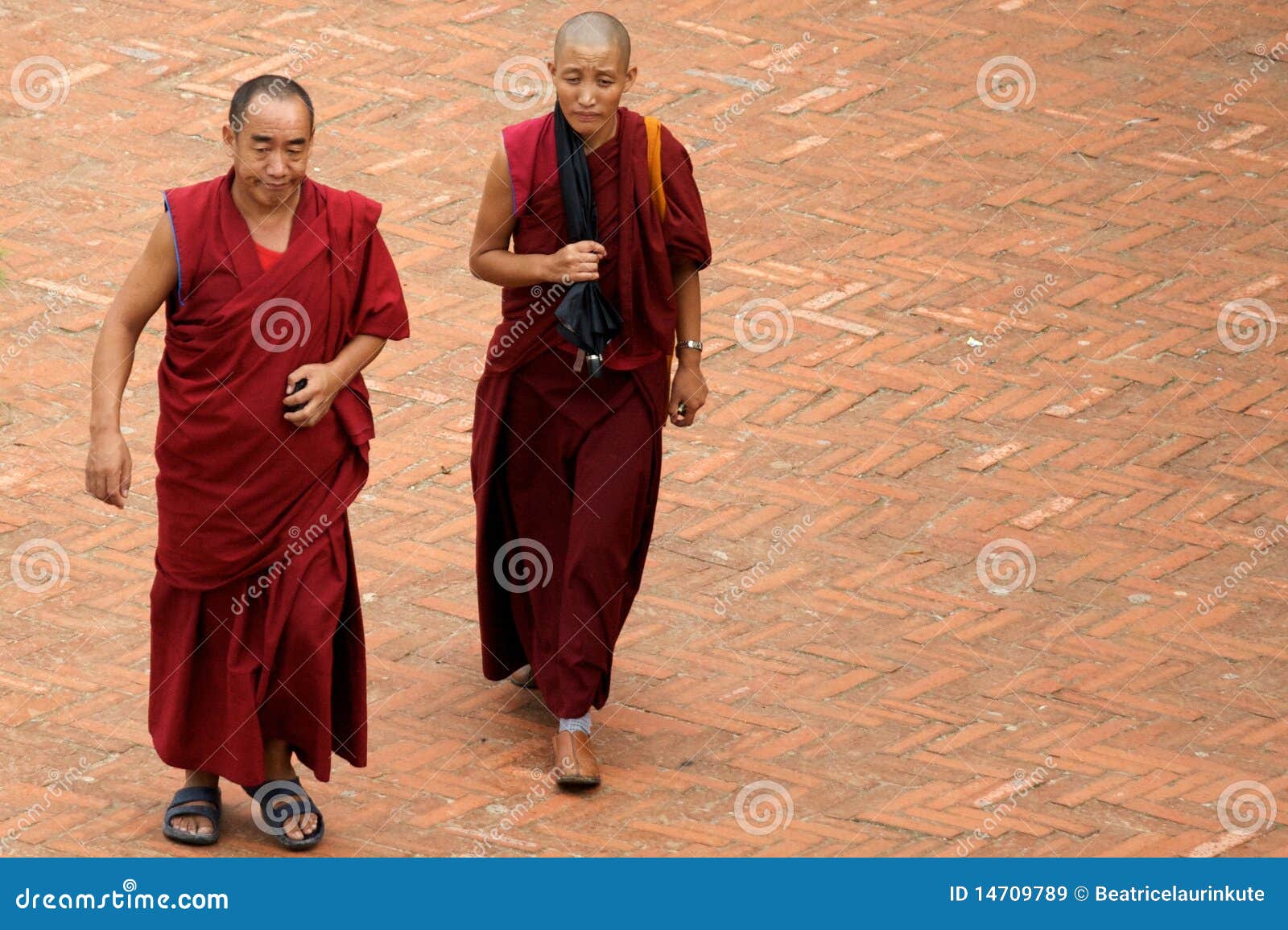 Two monks walking editorial stock image. Image of meditation - 14709789