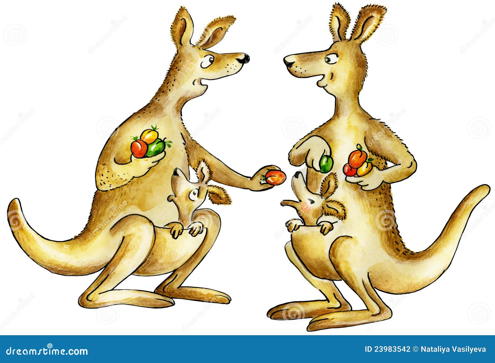 Kangaroo- Mothers with Baby Cubs Stock Illustration - Illustration of ...