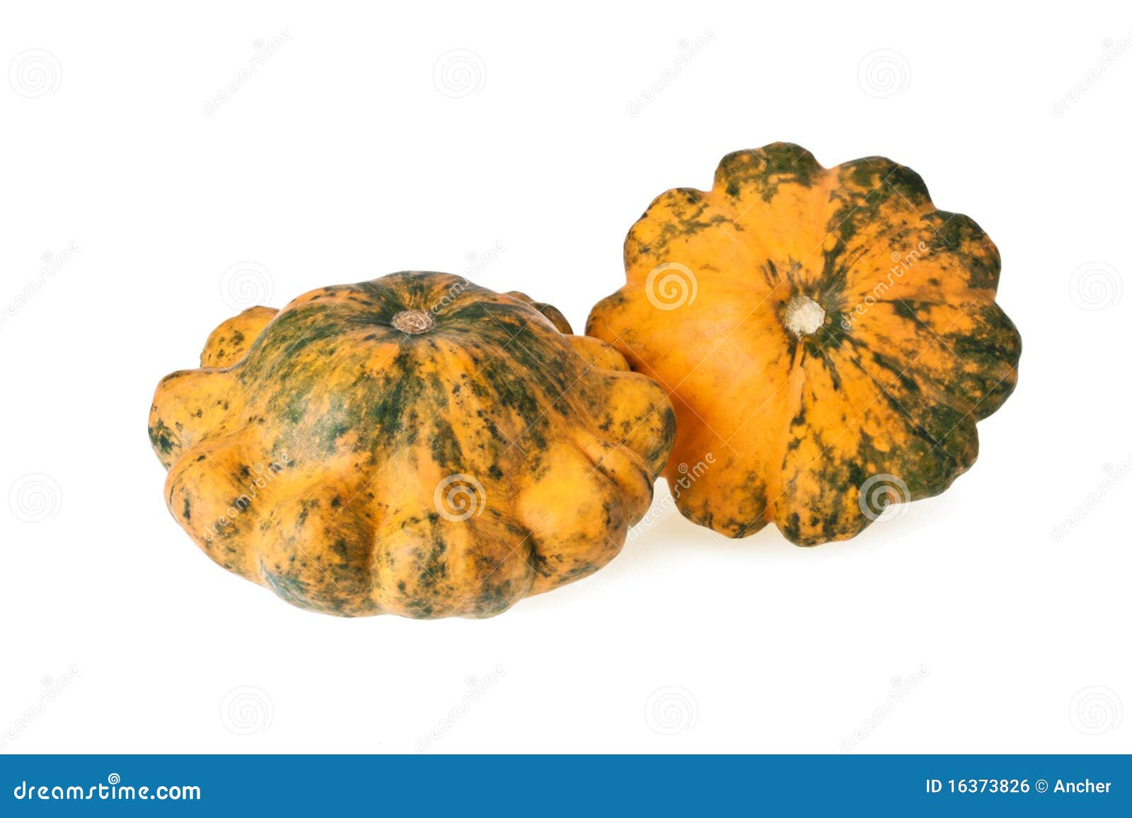 Two Motley Scalloped Squashes Isolated on White Stock Photo - Image of ...