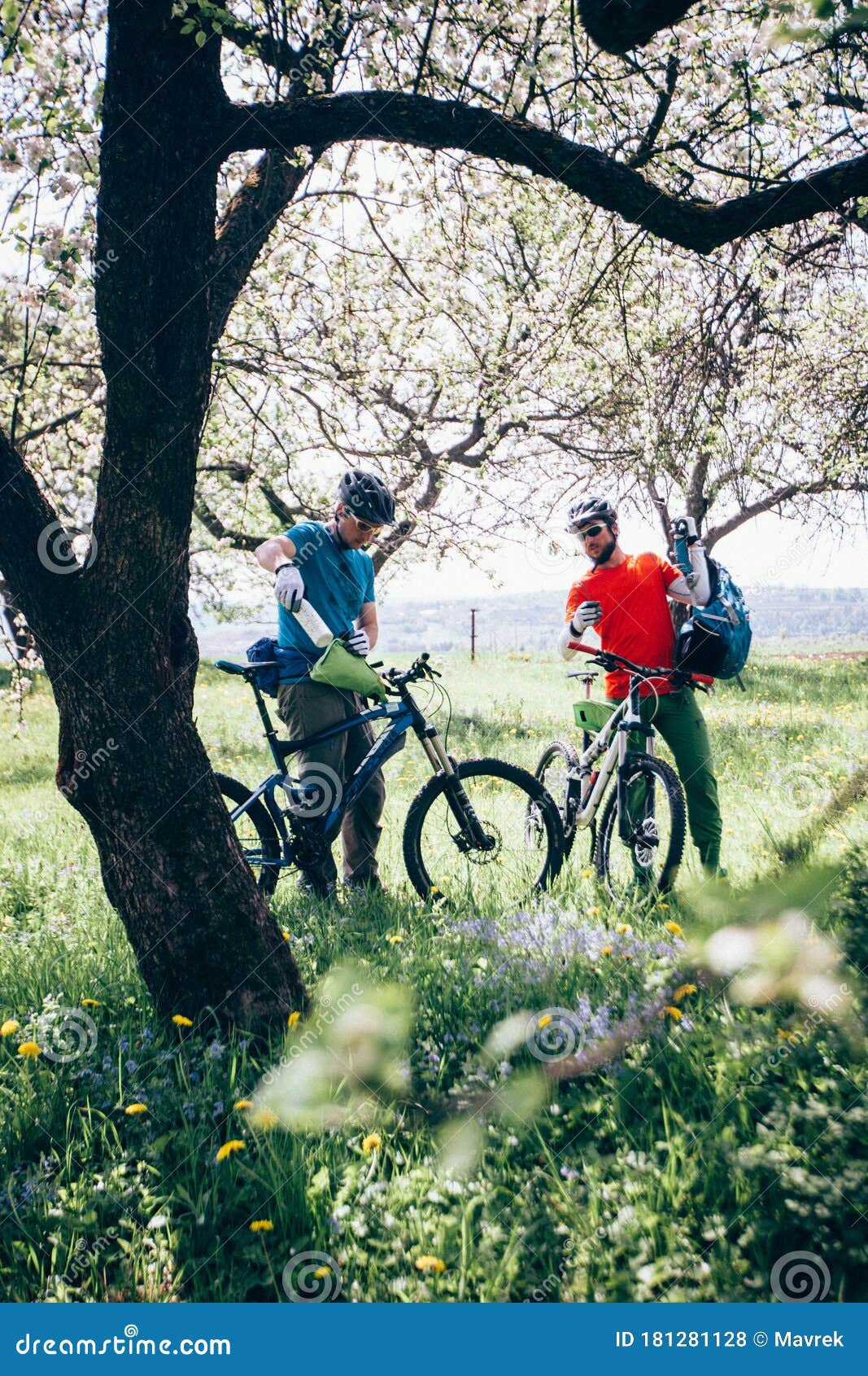 Two Mountain Bikers Resting and Prepare Stuff during Riding. Stock ...