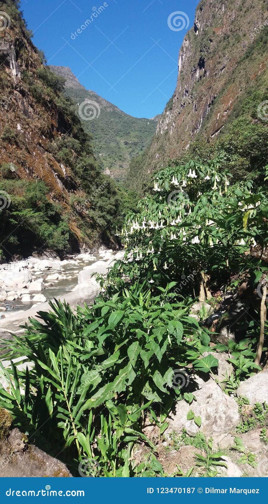 Between two mountains stock image. Image of cuzco, vegetation - 123470187