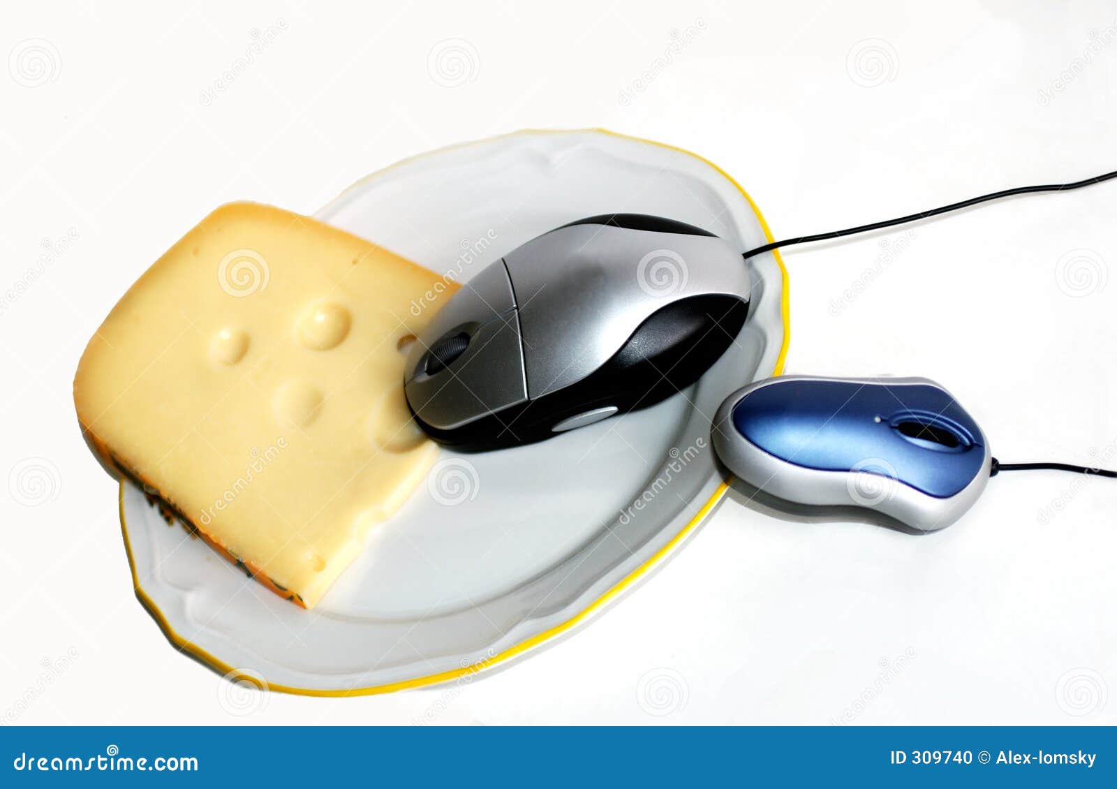 Two mouse stock photo. Image of hungry, tool, computers - 309740
