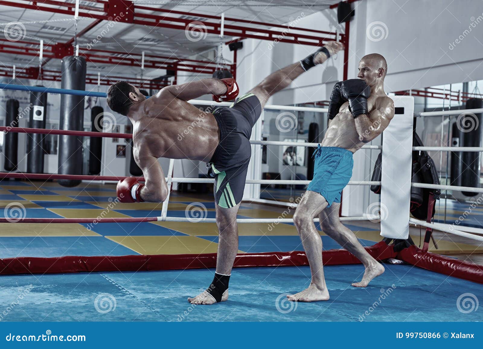 Kickbox Fighters Sparring in the Ring Stock Photo - Image of athletics ...