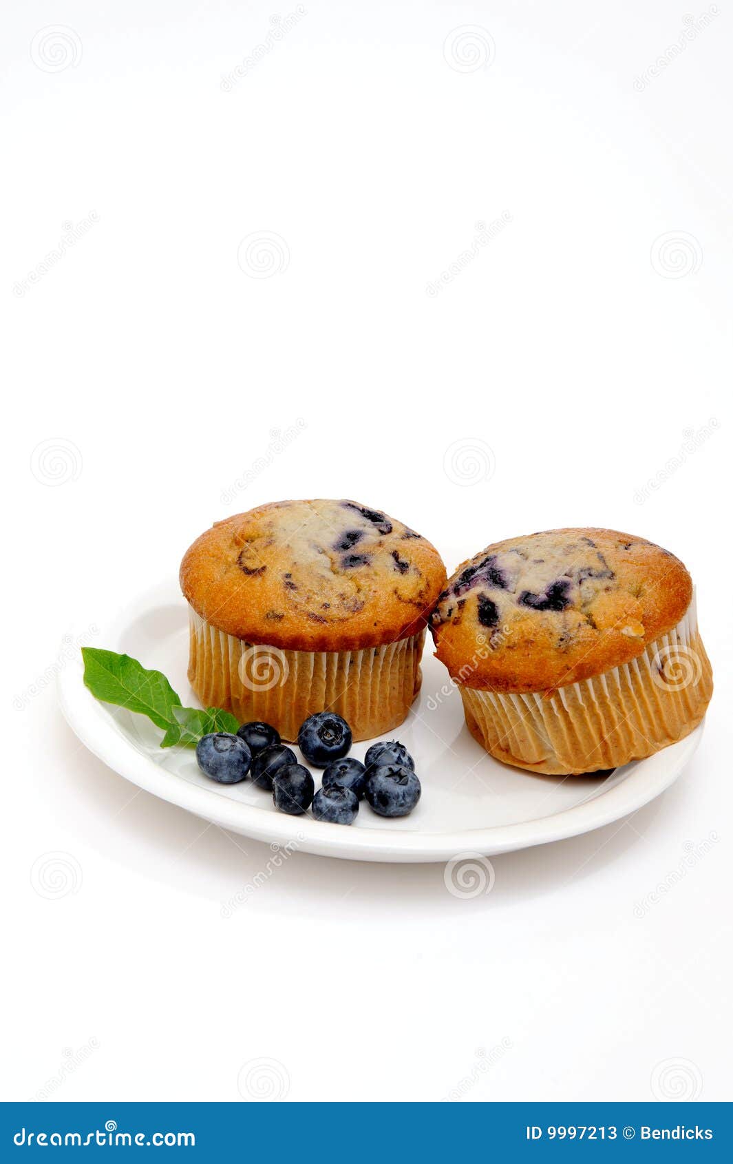 Two Muffins on a Saucer stock image. Image of baked, isolated - 9997213