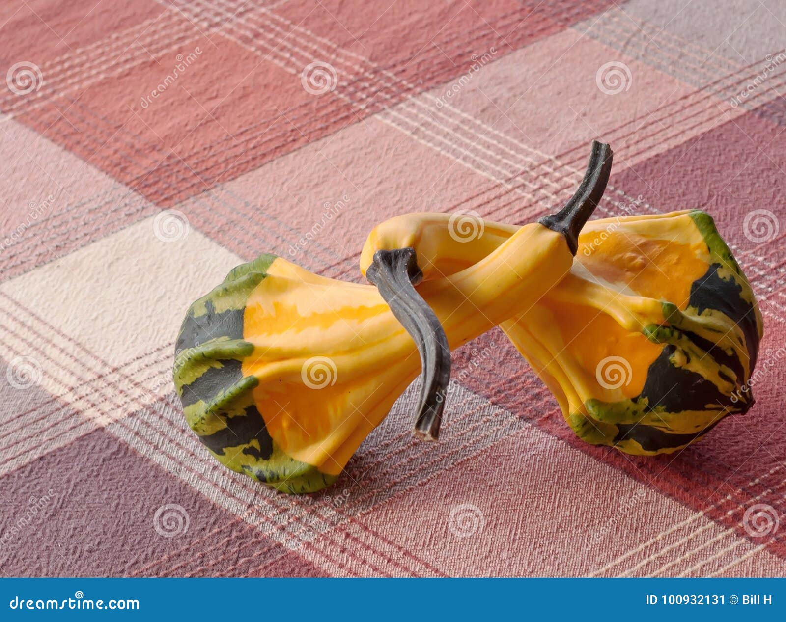 Two multi colored gourds stock image. Image of nature - 100932131