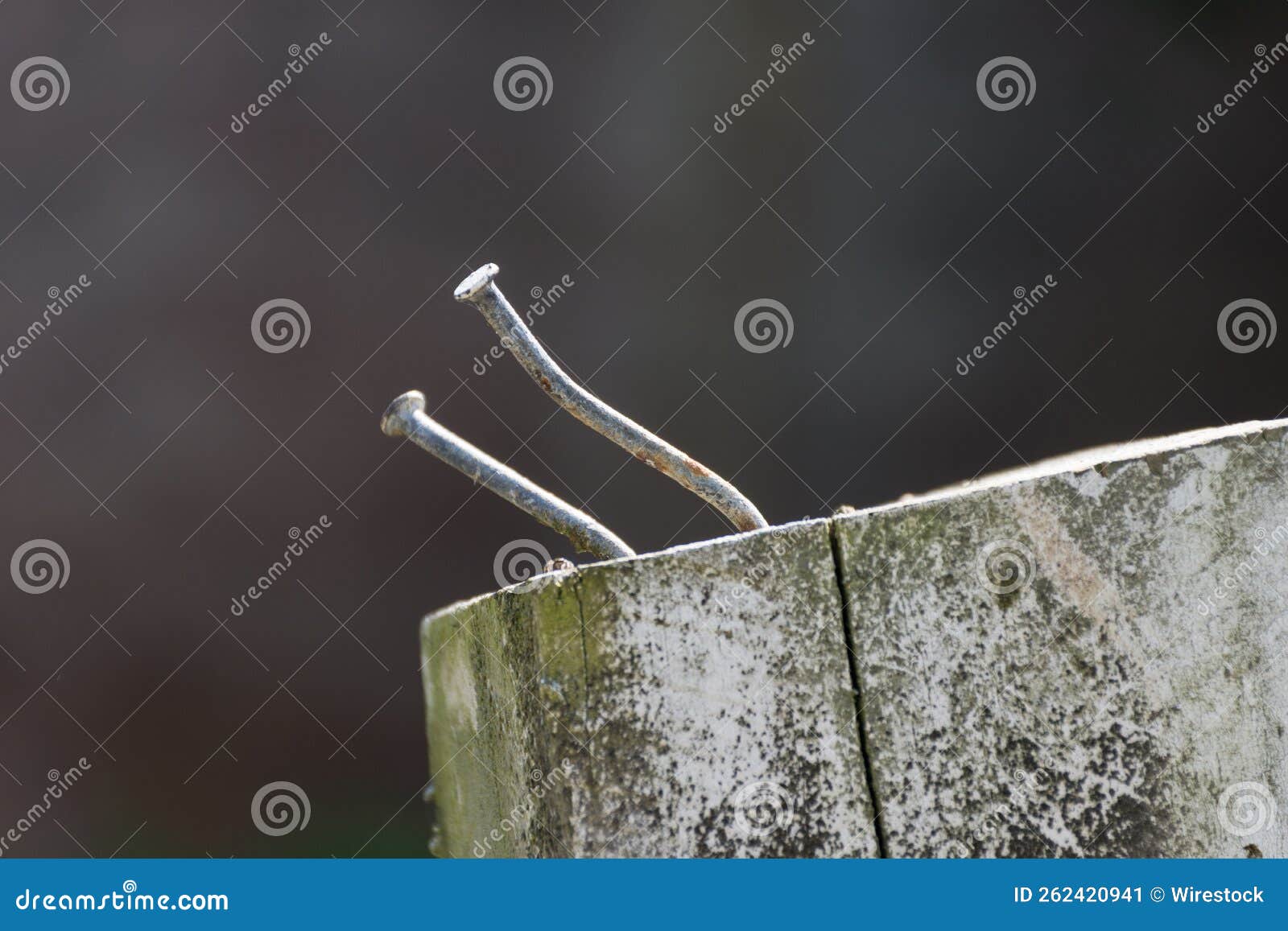 Nails Hammered into a Fence Post on a Plain Background. Stock Image ...