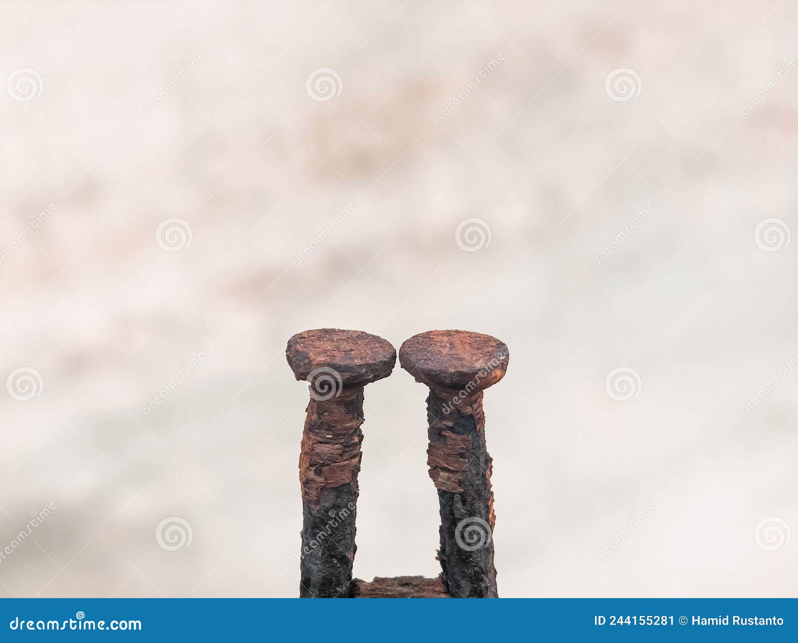 Two nails sticking out stock image. Image of nails, sticking - 244155281