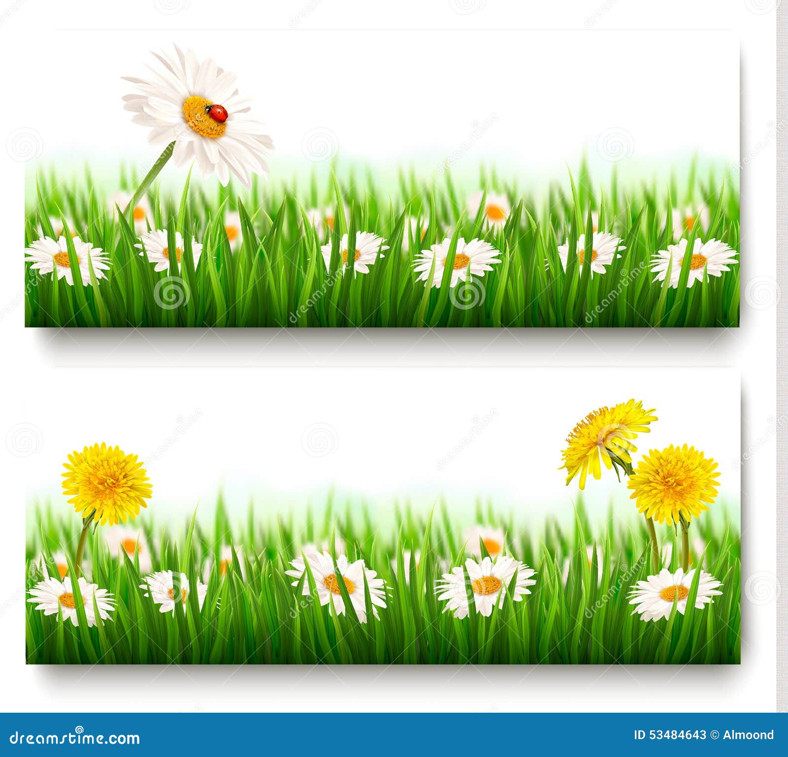 Two Nature Banners with Colorful Spring Flowers Stock Vector ...